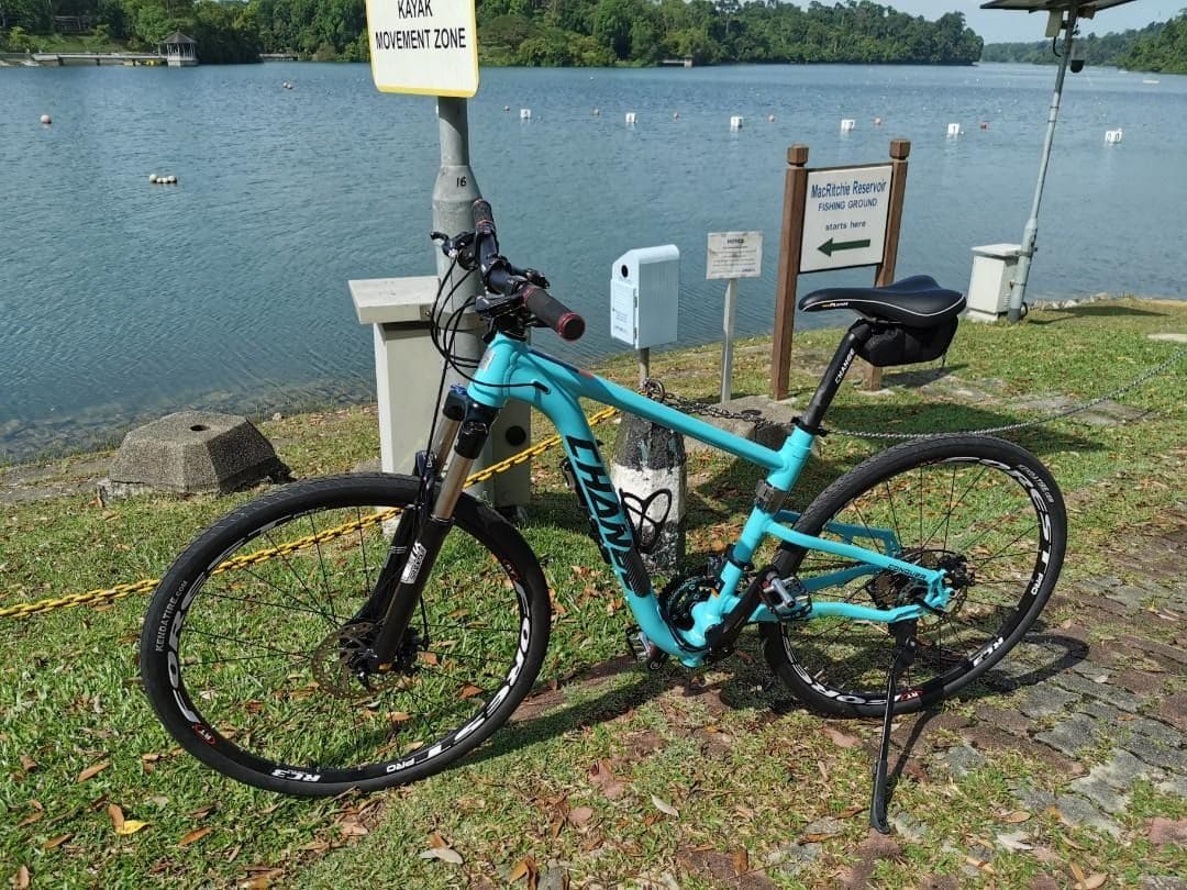 10 Best Folding Bikes of 2026: Compact, Powerful, and Ready to Ride