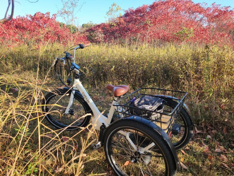 Best Tricycles for Seniors: 5 Expert Picks for 2025