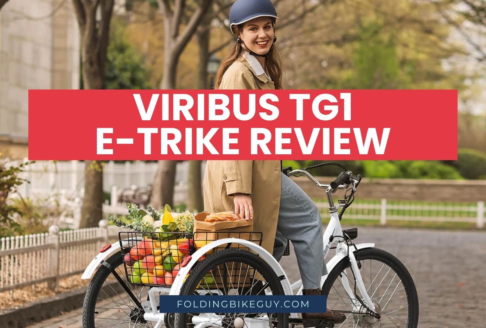 Viribus TG-1 Electric Tricycle Review (2025) | E-Trike for Seniors