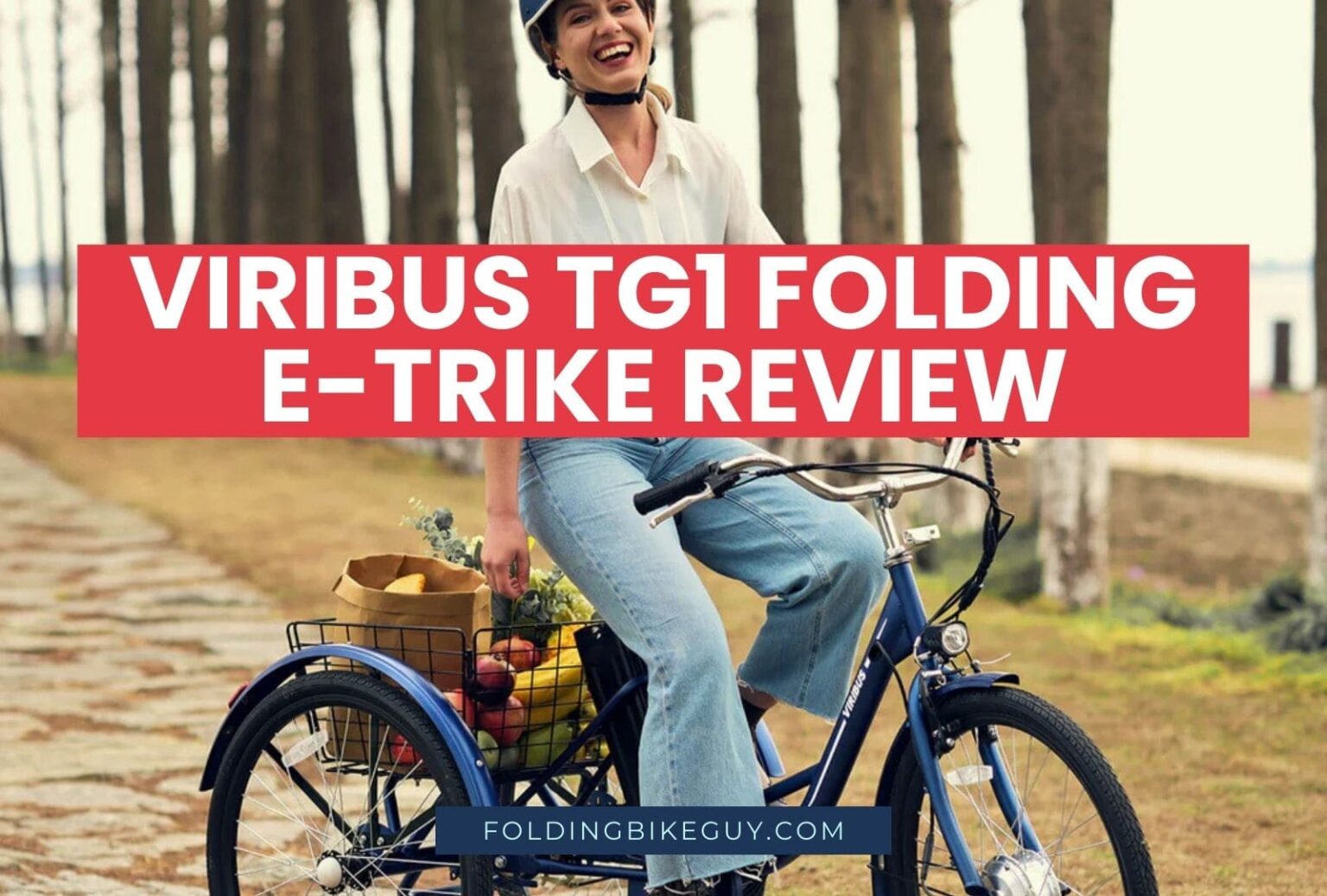 6 Best Folding Electric Tricycle For Adults 2026